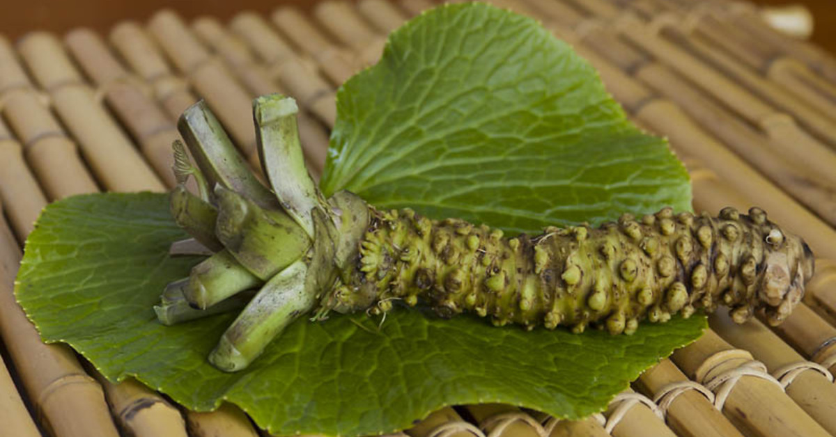 Le Wasabi - Produits japonais Le Wasabi - Produits japonais